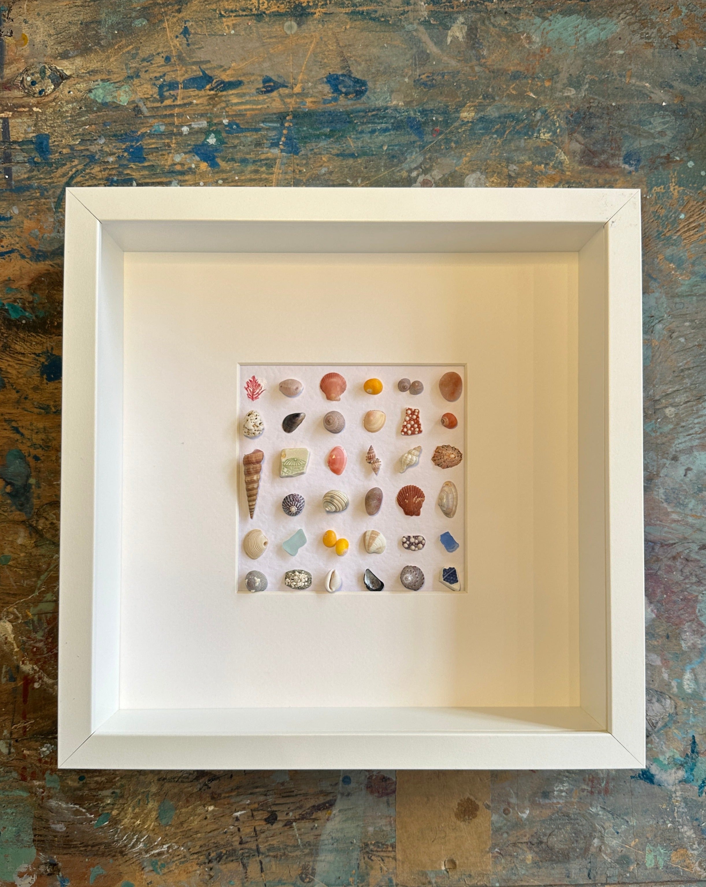 Assorted Shell Grid | Found By Fiadh – Born & Bred